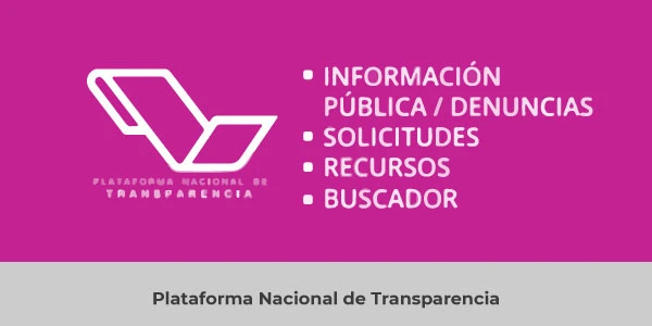Transparencia